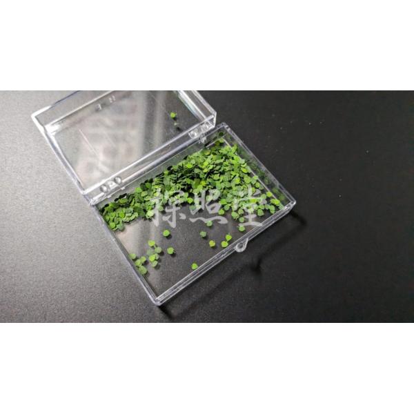 商品発送元：探照堂-TANSHO-DO-おもちゃ・ホビー・ゲーム、おもちゃ、プラモデル、ミリタリー1/35スケールのジオラマに最適な葉っぱです。全く同じ色・形状ではなく複数の色見、形状が入ったものなので散りばめるだけでリアルなジオラマになります。