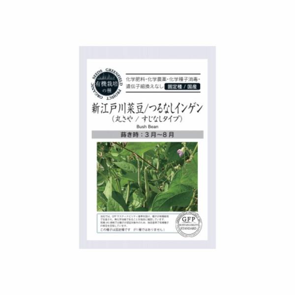 商品発送元：Wexthuset Japan Online Storeフラワー・ガーデニング柔らかくて甘みのあるインゲン早生のつるなし・すじなしの丸さやインゲンです。昔ながらのインゲンの風味を持ち、柔らかくて甘みある品種です。茹で・炒め・煮物...