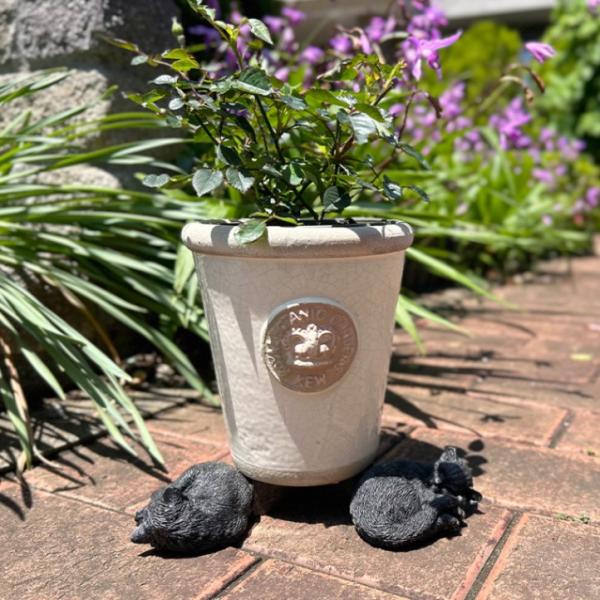 商品発送元：Wexthuset Japan Online StorePotty Feet Sleeping Catフラワー・ガーデニング猫のポットフィートで、植物のある空間がぐっとおしゃれな印象に。 季節ごとの植物管理にポットフィートを使用...