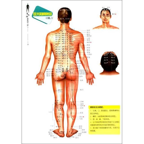 商品発送元：新華書城本・雑誌・コミック本書は超大型の実写カラー図を用いて、経脈によって経穴、外奇穴、耳穴の位置と効能を紹介します。百病選穴ガイド、12時養命穴を添付しています。中国医学あるいは経絡に興味を持っている方にお勧めします。如何找准...