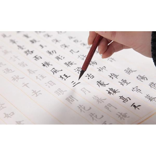 商品発送元：新華書城その他良質な半熟紙の毛筆なぞり書き習字練習画仙紙です。 仙紙に薄墨色を印刷されている見本をなぞって書くタイプのものであり、下にお手本を敷く必要がありません。 初心者でも手軽に始められ、練習用として活用しても良いでしょう。...