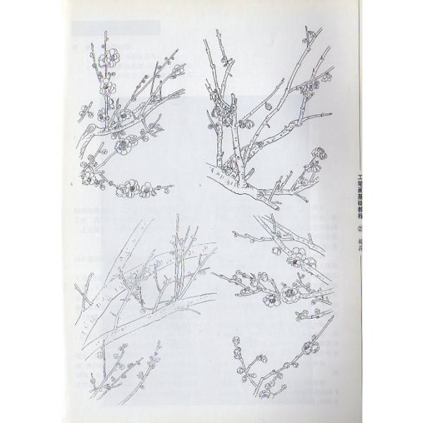 商品発送元：新華書城本・雑誌・コミック中国画及び水墨画の梅の描き方の本です。最初から丁寧に教えていますので、初心者でも簡単に勉強が出来ます。※未使用ですが出版年が古く相応に経年劣化が見られますので予めご了承下さい。ISBN：97875314...