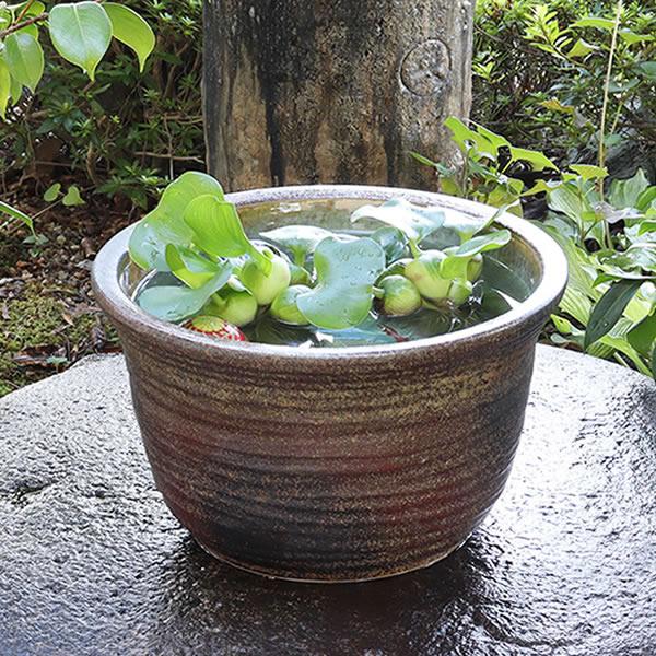 商品発送元：まるいち本店13時までの決済完了で当日出荷（土日祝日除く）生活・インテリア・文具品　番su-0137　金魚鉢、めだか鉢にお勧めの水鉢品　名信楽焼　11号窯肌水鉢 ［送料無料］サイズ・重量サイズ：直径330×高さ200mm（外寸）...