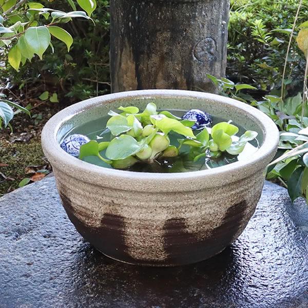 商品発送元：まるいち本店13時までの決済完了で当日出荷（土日祝日除く）生活・インテリア・文具品　番su-0054　金魚鉢、めだか鉢にお勧めの水鉢品　名信楽焼　13号灰釉すいれん鉢　［送料無料］サイズ・重量直径410×高さ200mm口径：35...