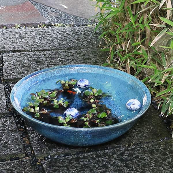 商品発送元：まるいち本店13時までの決済完了で当日出荷（土日祝日除く）その他品　番su-0233　金魚鉢、めだか鉢にお勧めの水鉢品　名信楽焼　20号青ビードロ浅型　すいれん鉢　【送料無料】サイズ・重量直径595×高さ170mm重さ11kg※...