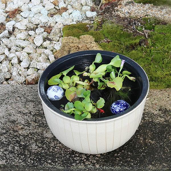 商品発送元：まるいち本店13時までの決済完了で当日出荷（土日祝日除く）その他品　番su-0249　金魚鉢、めだか鉢にお勧めの水鉢品　名信楽焼　立線ホワイト水鉢　［送料無料］サイズ・重量直径350×高さ210mm重量：6kg※手作りの為、サイ...