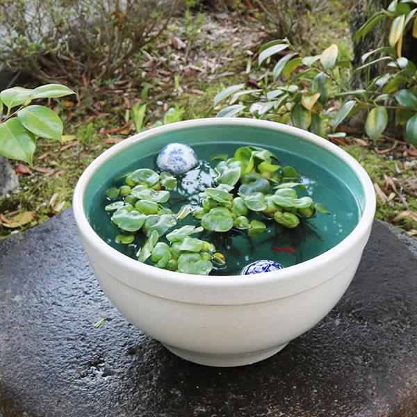 商品発送元：まるいち本店13時までの決済完了で当日出荷（土日祝日除く）生活・インテリア・文具品　番su-0253　金魚鉢、めだか鉢にお勧めの水鉢品　名信楽焼　13号白カスミ水鉢　［送料無料］サイズ・重量直径390×高さ220mm重量：6kg...