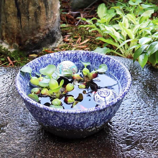 商品発送元：まるいち本店13時までの決済完了で当日出荷（土日祝日除く）生活・インテリア・文具品　番su-0257　金魚鉢、めだか鉢にお勧めの水鉢品　名信楽焼　10号青窯変めだか鉢 ［送料無料］サイズ・重量直径300×高さ140mm重量：2....