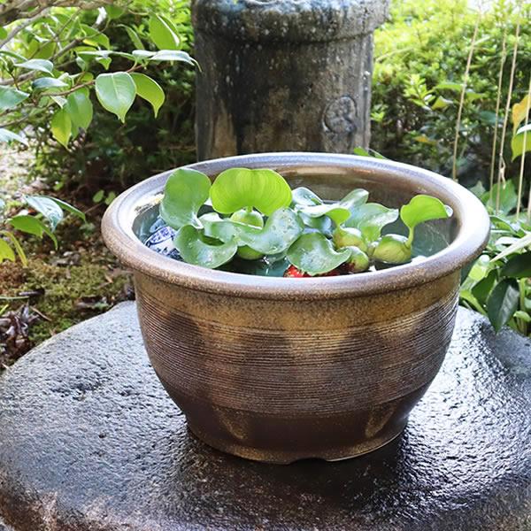 商品発送元：まるいち本店13時までの決済完了で当日出荷（土日祝日除く）生活・インテリア・文具品　番su-0172　金魚鉢、めだか鉢にお勧めの水鉢品　名信楽焼　13号窯肌水鉢　［送料無料］サイズ・重量直径410×高さ250mm口径：340mm...