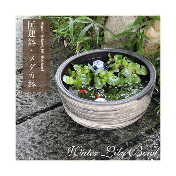 商品発送元：まるいち本店13時までの決済完了で当日出荷（土日祝日除く）生活・インテリア・文具品　番su-0184　金魚鉢、めだか鉢にお勧めの水鉢品　名信楽焼　12号白はけ目すいれん鉢　【送料無料】サイズ・重量直径350×高さ180ミリ（外寸...