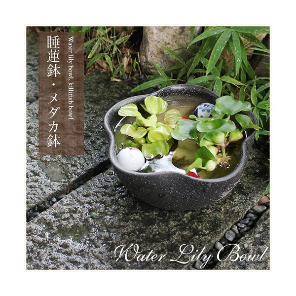 商品発送元：まるいち本店13時までの決済完了で当日出荷（土日祝日除く）その他品　番su-0150　金魚鉢、めだか鉢にお勧めの水鉢品　名信楽焼　10号黄釉ハケメ花型水鉢　【送料無料】サイズ・重量直径310×高さ145ミリ（外寸）　重さ2キロ鉢...