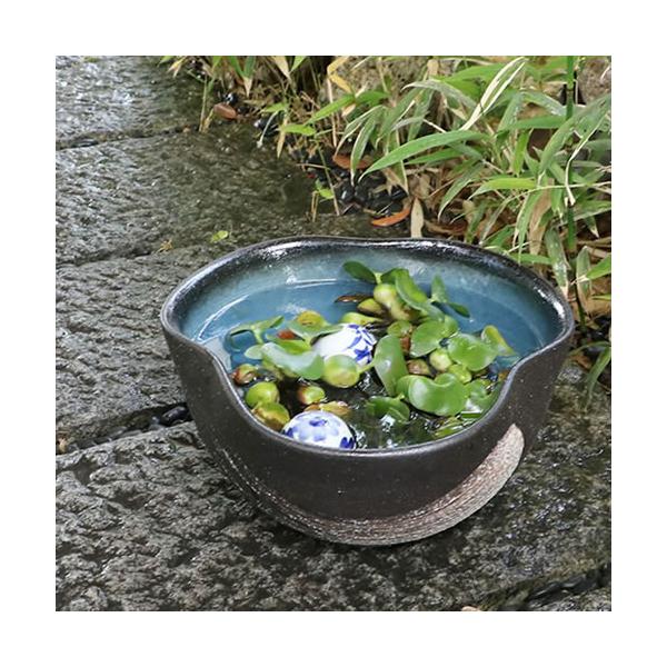 商品発送元：まるいち本店13時までの決済完了で当日出荷（土日祝日除く）生活・インテリア・文具品　番su-0151　金魚鉢、めだか鉢にお勧めの水鉢品　名信楽焼　10号青釉ハケメ三方曲げ水鉢　【送料無料】サイズ・重量直径310×高さ145ミリ（...