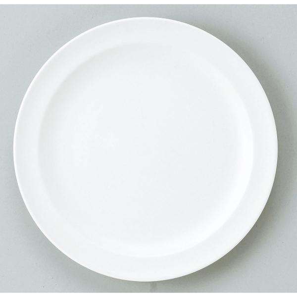 商品発送元：HatsuZan寸法：23.8×2.4(cm)  電子レンジ：可 食器洗浄機：可  材質：磁器その他【洋食器 丸プレート 丸皿 業務用 日本製】【注意事項】本品はメーカー在庫品です。 お客様からのご注文後に、提携先メーカーに在庫...