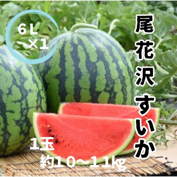 商品発送元：全農ライフサポート山形　PontY尾花沢すいかA6L×1玉フード・菓子、フルーツ・果物&amp;#9654;発送期間：〜8月６日(木）までのご注文締切で順次発送致します。天候・生育状況によって発送日が前後する場合がございます。ご...