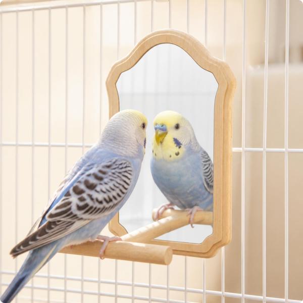 説明: [製品概要]: この止まり木付き木製鳥鏡は.ペットのオウムの生活空間をインタラクティブな要素と休息要素の両方で充実させるために作られた.機能的な鳥かご用アクセサリーです. [コア機能]: 鳥の鏡のおもちゃとして.鳥がケージの環境を発...