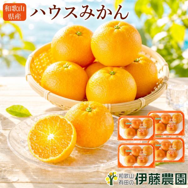 ■原産地名：和歌山県産■内容量：10個入り■発送日について納期情報を参照ください■送料について　送料無料：ただし北海道・沖縄は770円別途かかります。■　開封後は7〜10日程度でお召し上がりください。日本一のみかん生産量を誇る和歌山県でみか...