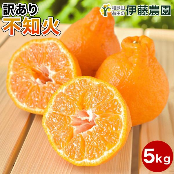 ●和歌山県産　有田のデコみかん　訳あり　5kg清見とポンカンを掛け合わせてできた品種です。糖度が高く果汁もたっぷり、手で剥きやすいということもあり春柑橘の中でもとても人気のある柑橘です。●産地：和歌山県●内容量：5kg●サイズ：S〜2Lサイ...