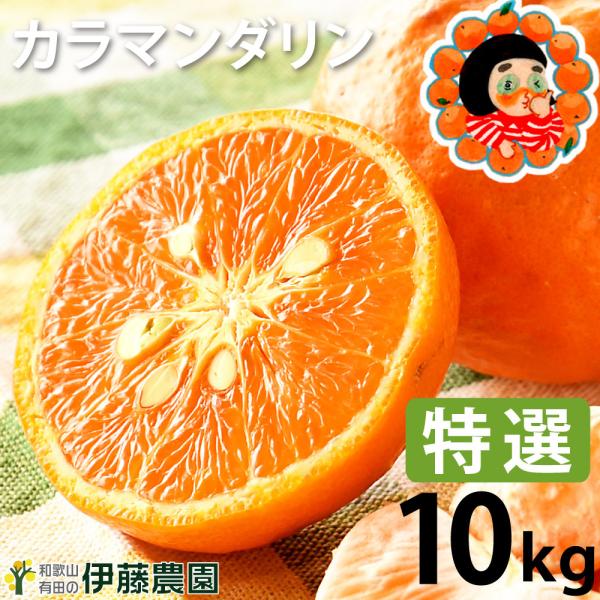 【発売日：2020年04月17日】みかん/ミカン/蜜柑/mikan/mikann/フルーツ/かんきつ/柑橘/柑橘類/お試し/訳あり/デコポン/同品種/不知火/しらぬい/はるみ/八朔/ハッサク/はっさく/甘夏/あまなつ/アマナツ/清見/清見オ...