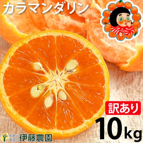みかん/ミカン/蜜柑/mikan/mikann/フルーツ/かんきつ/柑橘/柑橘類/お試し/訳あり/デコポン/同品種/不知火/しらぬい/はるみ/八朔/ハッサク/はっさく/甘夏/あまなつ/アマナツ/清見/清見オレンジ/きよみ/キヨミ/オレンジ/...