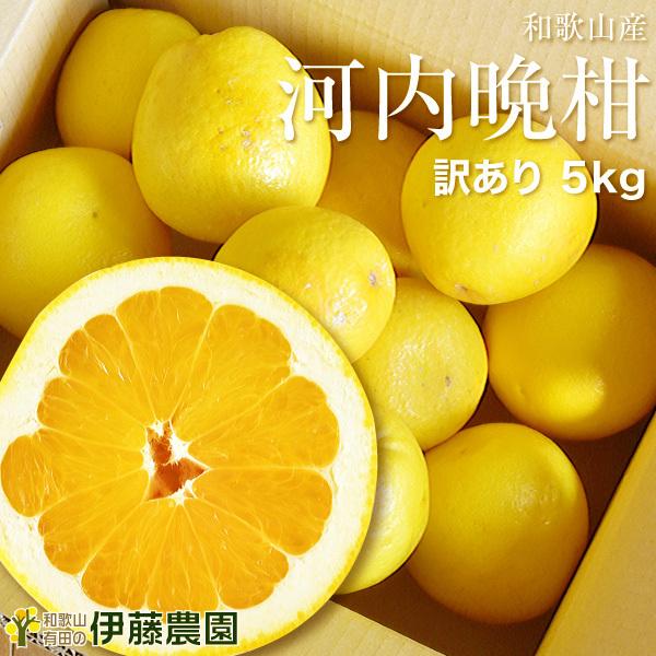 みかん/ミカン/蜜柑/mikan/mikann/フルーツ/かんきつ/柑橘/柑橘類/お試し/訳あり/デコポン/同品種/不知火/しらぬい/はるみ/八朔/ハッサク/はっさく/甘夏/あまなつ/アマナツ/清見/清見オレンジ/きよみ/キヨミ/オレンジ/...