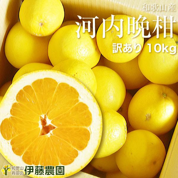 みかん/ミカン/蜜柑/mikan/mikann/フルーツ/かんきつ/柑橘/柑橘類/お試し/訳あり/デコポン/同品種/不知火/しらぬい/はるみ/八朔/ハッサク/はっさく/甘夏/あまなつ/アマナツ/清見/清見オレンジ/きよみ/キヨミ/オレンジ/...