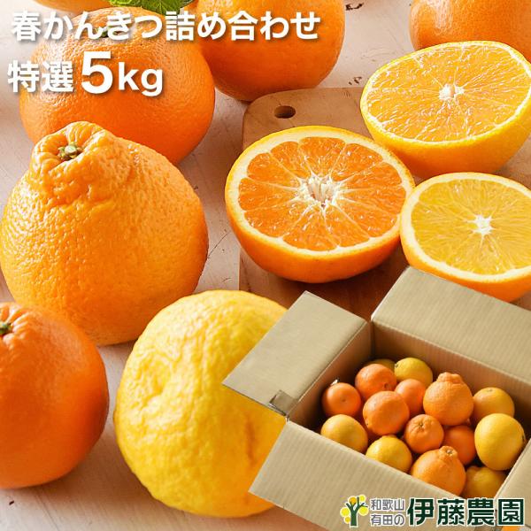【発売日：2021年02月01日】●和歌山県産　かんきつ詰め合わせ　特選　5kg●産地：和歌山県●内容量：5kg●サイズ：S〜2Lサイズミックス●賞味期限：生ものにつき、お早めにお召し上がりください。●保存方法：到着後すぐに箱から出し、通気...