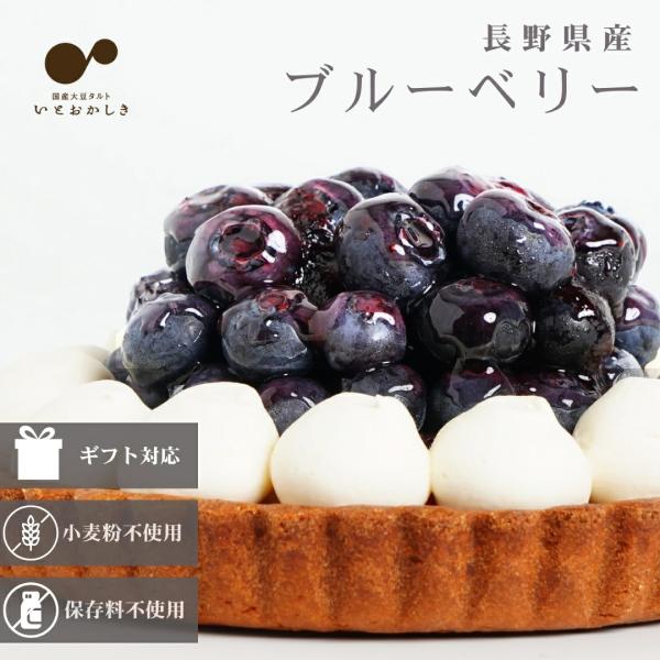 【発売日：2026年06月29日】長野県産フルーツをたっぷり使ったタルト グルテンフリー 長野県産ブルーベリータルト 送料無料 ｜ ブルーベリー