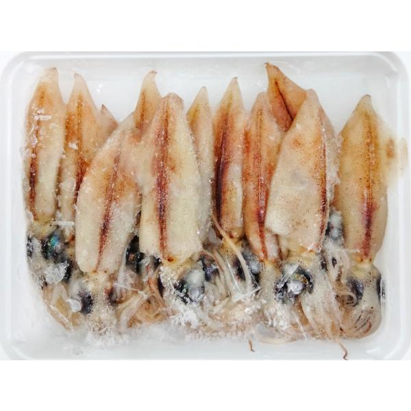 クール便の送料となります。光る眼 活そのままパックホタルいかパックサイズ約13×10.5cm商品は実店舗と兼ねております為、在庫が無い場合がございます。その際には在庫の有無、納期等をメールにてご連絡させて頂きます。予めご了承いただきます様お...