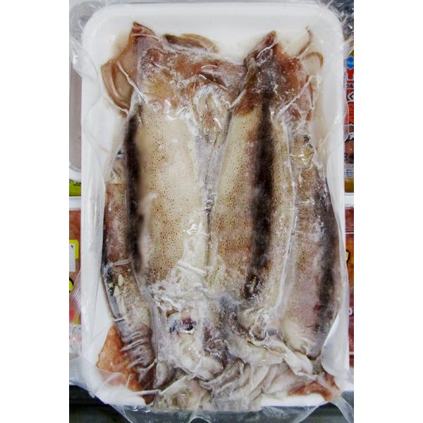 約18cm(約60g)×5匹スルメイカ原体をお腹もそのまま急速冷凍しています。北陸エリアでは船からのタラ釣り、関東エリアでは船からのブリ(イカブリ)やワラサ、アオモノ、底物から海上釣堀にもよく使われています。手軽にブッ込み釣りでのクロダイ、...