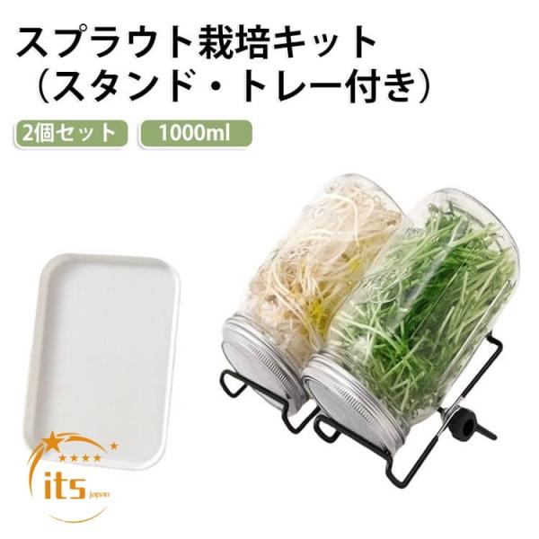 スプラウト栽培キット 発芽ガラス 容器 スプラウト 5点セット 種子発芽ジャーキット 1000ml 2個セット 広口 メイソンジャー スタンド トレー