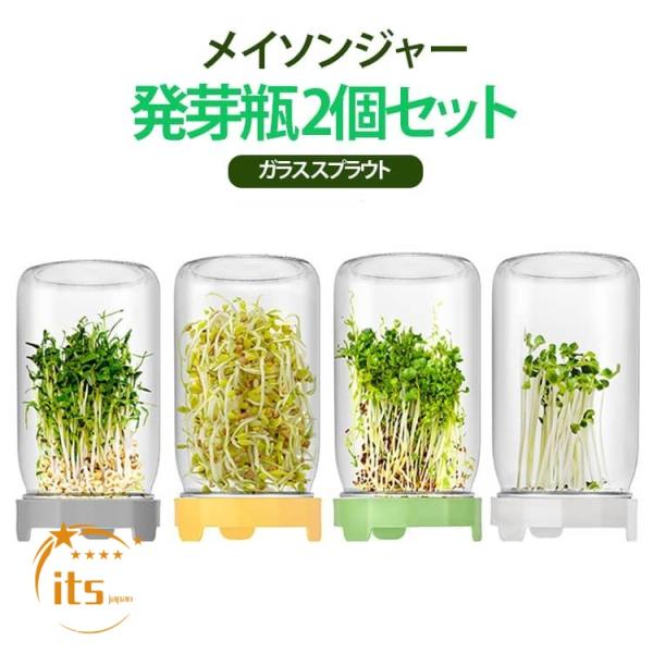 2個セット 蓋つき ガラス 野菜 メイソンジャー 発芽瓶 水耕 豆苗 ブロッコリー 種 ガーデニング キッチン スプラウト 健康 栽培 ベランダ 家庭