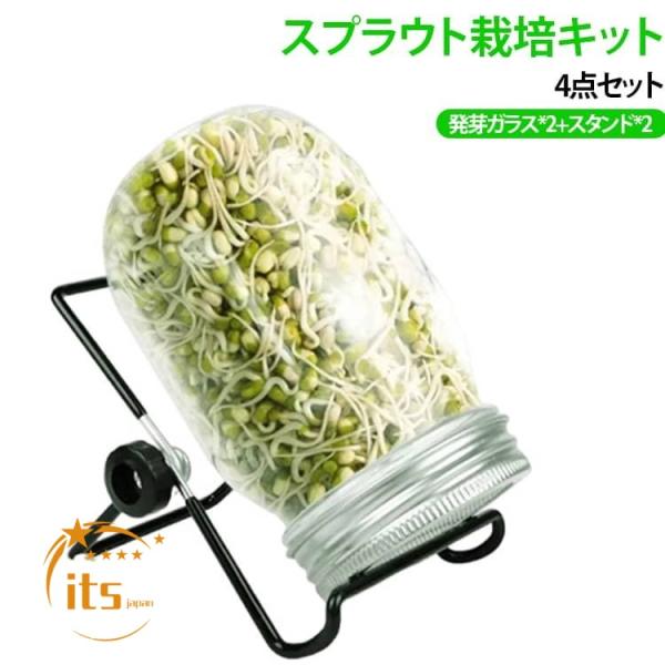 4点セット ガラス瓶 （発芽ガラス*2＋スタンド*2） スプラウト栽培キット ステンレスメッシュ蓋 アルファルファ 発芽栽培容器 種子発芽ジャー 発芽
