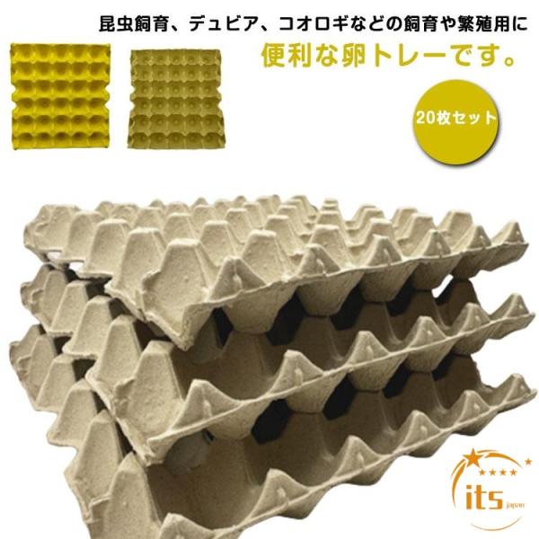 20枚セット