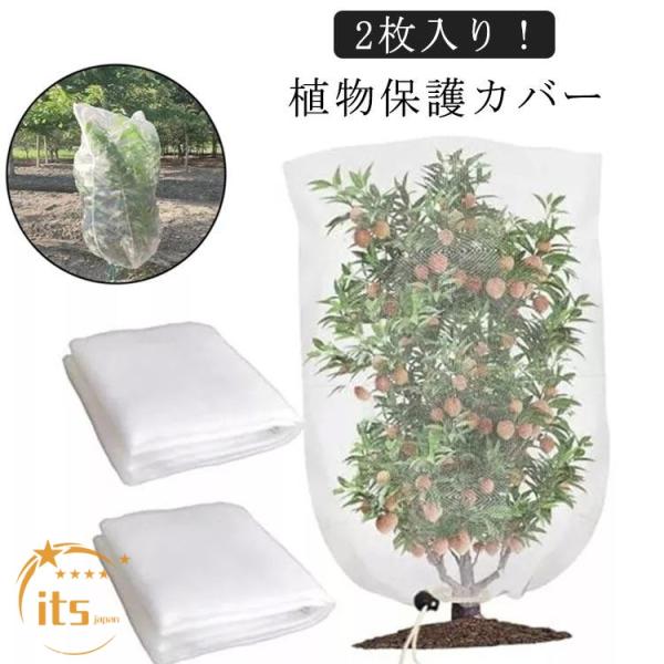 80x100cm 100x120cm 180x120cm 180x180cm 180x240cm