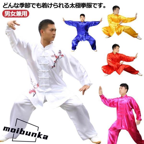 メンズ 長袖 チャイナ服 上下セット 春秋 カンフーウェア 太極拳 レディース 功夫服 練習用 太極拳服 武術 演出服 男女兼用 子供用 表演服