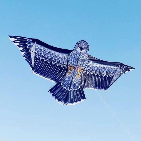鳥よけ カイト 鷹 (ポール竿付) 軽量丈夫 防鳥具 鳥追い 畑 植物保護 農業用 カイト鷹 .m凧 mポール