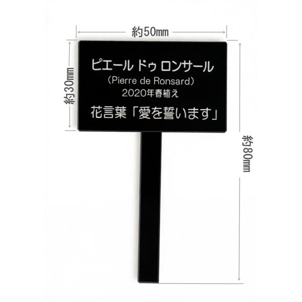 ご覧いただきありがとうございます。アクリル製、挿し込みタイプの園芸プレートです。お客様のご希望に合わせ、お好きな文字を刻印いたします。★おすすめポイント★アクリルにレーザー刻印加工のため、水やりや紫外線により文字が薄くなったり消えることはあ...