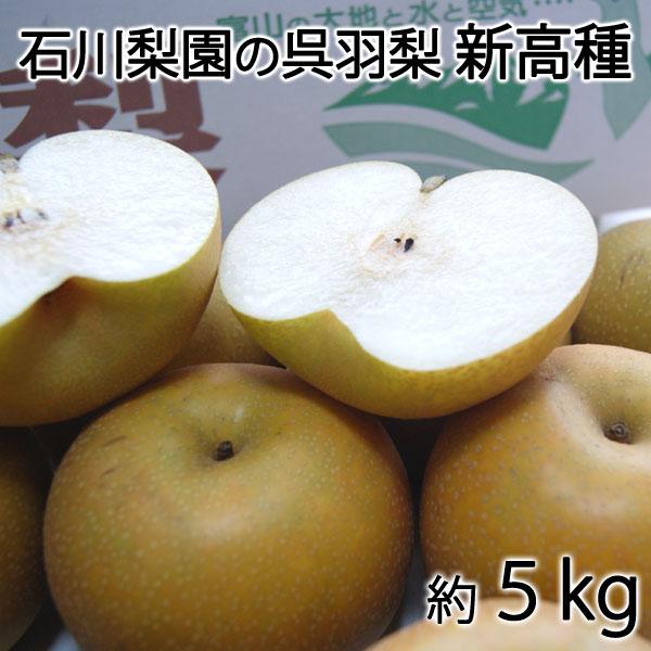 【発売日：2022年09月30日】富山県の期待に応え続けてきた高品質な石川梨園の呉羽梨【ご確認下さい】※送料込み価格です。尚、北海道・沖縄・離島へは別途＋880円がかかります。　※発送日が決まりましたら、メールにて発送日をお伝え致します。商...