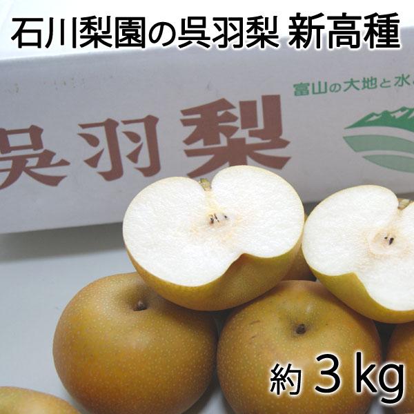 【発売日：2022年09月29日】富山県の期待に応え続けてきた高品質な石川梨園の呉羽梨【ご確認下さい】※送料込み価格です。尚、北海道・沖縄・離島へは別途＋880円がかかります。　　※発送日が決まりましたら、メールにて発送日をお伝え致します。...