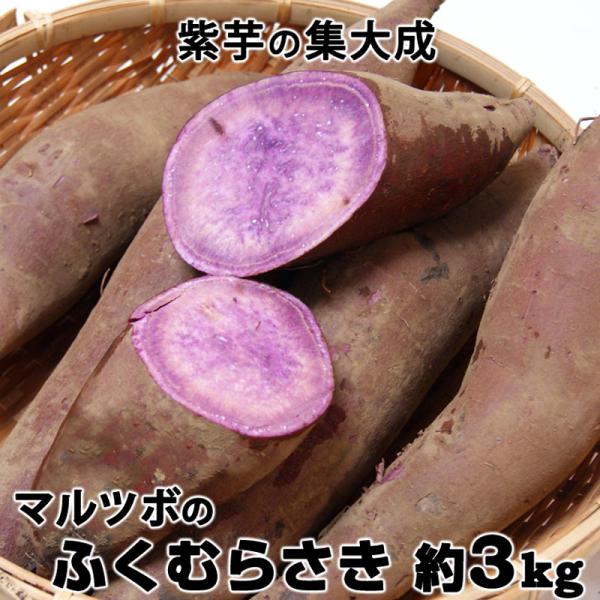 【発売日：2024年11月13日】マルツボが減農薬栽培でつくったパープルスイートロードを親にもつ紫芋の新品種 ふくむらさき【ご確認下さい】※送料込み価格です。尚、沖縄・離島へは別途＋770円、北海道九州へは別途＋330円かかります。商品名：...