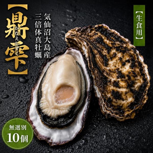 【発売日：2026年08月23日】気仙沼大島のプレミアムブランド真牡蠣「鼎雫（かなえしずく）」殻付き10個セット（生食用）です。【奇跡の三倍体牡蠣】夏場に産卵せず栄養を蓄え続ける「三倍体」技術により、1年を通して濃厚で極上の身入りを維持でき...