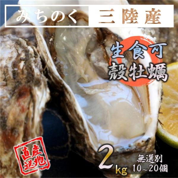 【発売日：2025年08月20日】宮城の三陸沖は世界三大漁場の一つです。リアス式海岸特有の漁場環境により植物プランクトンが発生し、それを餌とする牡蠣やホヤ、ホタテなどが育つ最高の環境が整っています。東日本大震災で甚大な被害を受けた牡蠣の養殖...