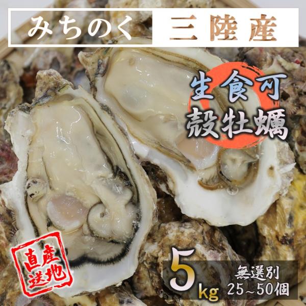 【発売日：2025年08月20日】宮城の三陸沖は世界三大漁場の一つです。リアス式海岸特有の漁場環境により植物プランクトンが発生し、それを餌とする牡蠣やホヤ、ホタテなどが育つ最高の環境が整っています。東日本大震災で甚大な被害を受けた牡蠣の養殖...