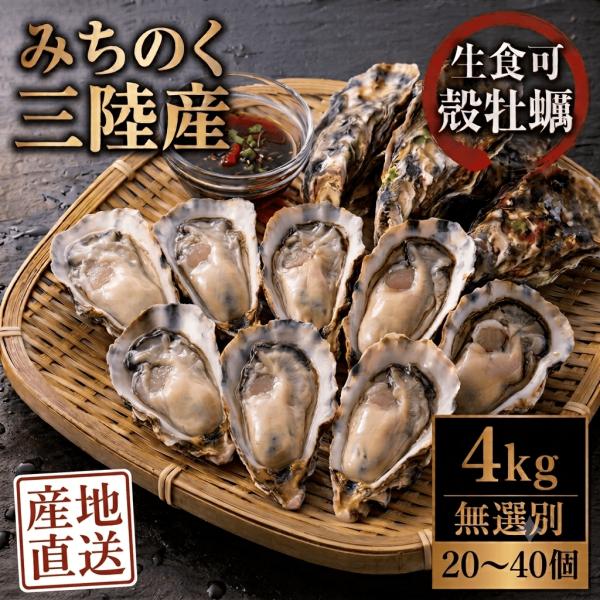【発売日：2025年08月20日】宮城の三陸沖は世界三大漁場の一つです。リアス式海岸特有の漁場環境により植物プランクトンが発生し、それを餌とする牡蠣やホヤ、ホタテなどが育つ最高の環境が整っています。東日本大震災で甚大な被害を受けた牡蠣の養殖...