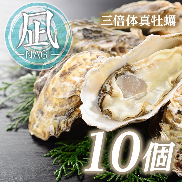 選び抜かれた環境で育つ「凪」は、イワモト水産のブランド牡蠣です。通常の牡蠣（二倍体牡蠣）は産卵期に身が痩せてしまいますが、三倍体真牡蠣は産卵しないため、その分の栄養がすべて身に蓄えられるのが特徴です。年中美味しく食べることができる、さわやか...