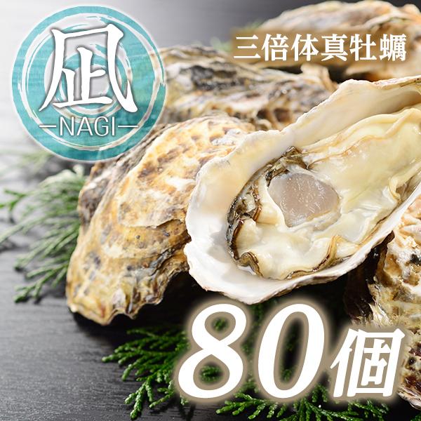 選び抜かれた環境で育つ「凪」は、イワモト水産のブランド牡蠣です。通常の牡蠣（二倍体牡蠣）は産卵期に身が痩せてしまいますが、三倍体真牡蠣は産卵しないため、その分の栄養がすべて身に蓄えられるのが特徴です。年中美味しく食べることができる、さわやか...