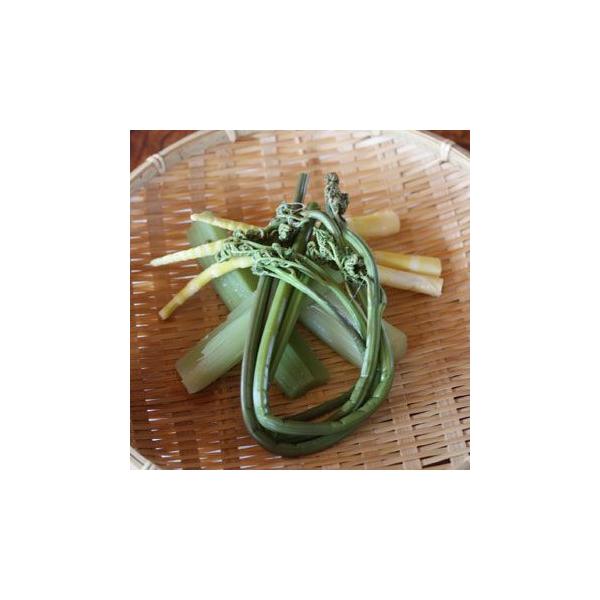 ワラビは馴染みのある山菜のひとつです。山菜ご飯や、山菜そば、お浸しなどに良く利用されます。名前の由来は、芽の形が子どもの握りこぶしに似ていることから「わらべ」が転訛した、とか、「わらわらと生えている」ことからなど諸説あります。