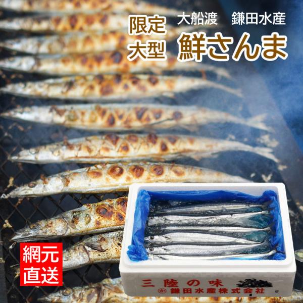 【さんまの発送時期について】鮮さんまは鎌田水産（網元）の船で獲れたさんまをお送りしておりますので、悪天候などにより水揚げがない場合は発送する事ができません。状況によってはお届けにかなりのお時間を頂戴する可能性がございますのでご了承ください。...