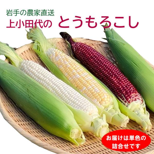 各種とうもろこしの収穫時期が異なりますので、お届け時期は下記を目安にしてください。□奥州ペルル：7月中旬〜８月上旬□ドルチェドリーム：7月中旬〜８月上旬□大和ルージュ：９月中旬〜※お届け時期は目安です。収穫状況により前後いたしますのでご了承...