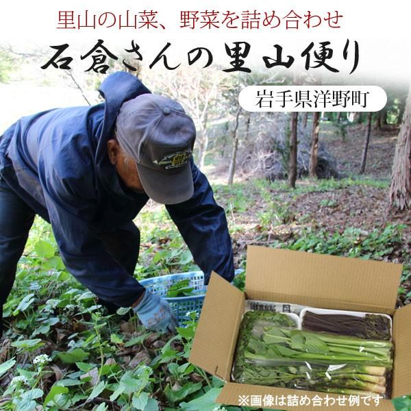 季節の山菜・野菜詰め合わせ【商品のお届けについて】4月末〜5月上旬からの発送予定です。作物の成長の状況により収穫量が変わりますので、お届け日のご指定は出来ません。また、山菜などは旬が短いものもあり、予告なく内容が変わる場合もあります。ご了承...